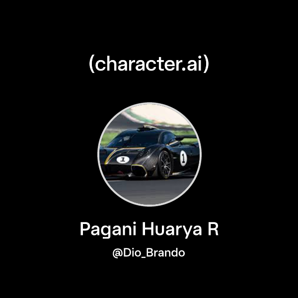 Chat with Pagani Huarya R | character.ai | Personalized AI for every ...