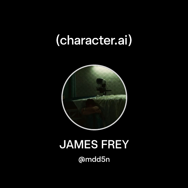 Chat with JAMES FREY | character.ai | AI Chat, Reimagined–Your Words ...