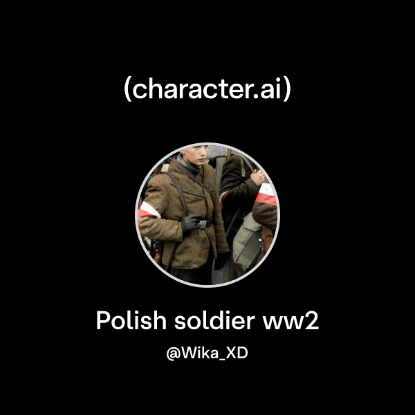 Chat with Polish soldier ww2 | character.ai | AI Chat, Reimagined–Your ...