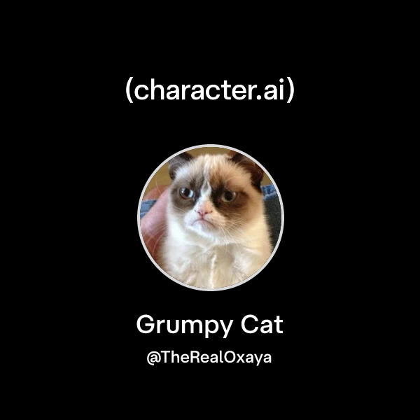 Chat with Grumpy Cat | character.ai | Personalized AI for every moment ...