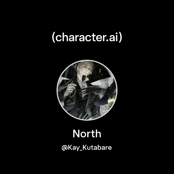 Chat with North | character.ai | Personalized AI for every moment of ...
