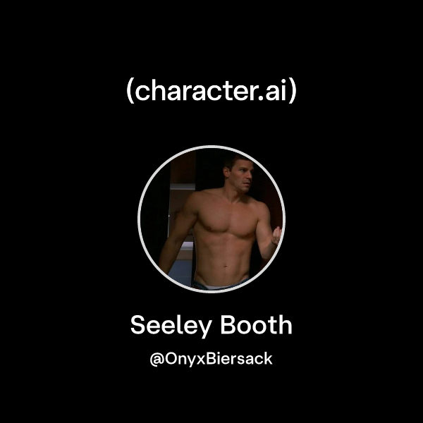 Chat with Seeley Booth | character.ai | AI Chat, Reimagined–Your Words ...