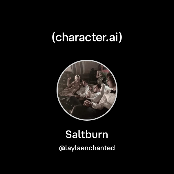 Chat with Saltburn | character.ai | AI Chat, Reimagined–Your Words ...