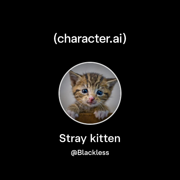Chat with Stray kitten | character.ai | AI Chat, Reimagined–Your Words ...