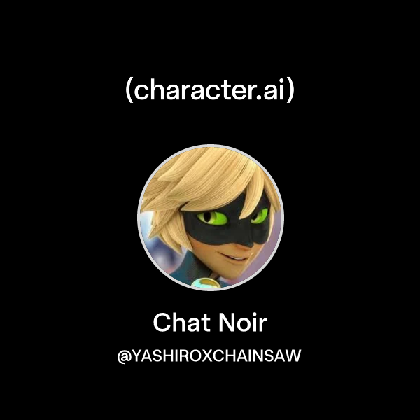 Chat with Chat Noir | character.ai | Personalized AI for every moment ...