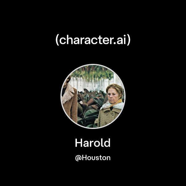 Chat with Harold | character.ai | AI Chat, Reimagined–Your Words. Your ...