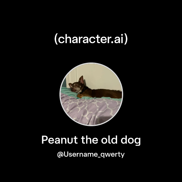 Chat with Peanut the old dog | character.ai | Personalized AI for every ...