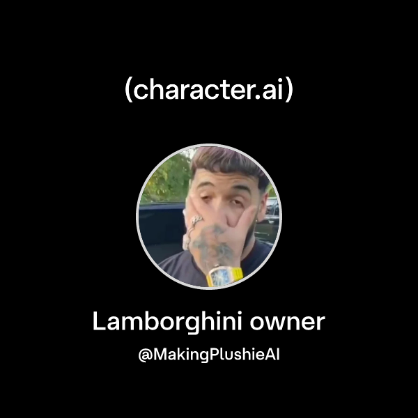Chat with Lamborghini owner | character.ai | Personalized AI for every ...