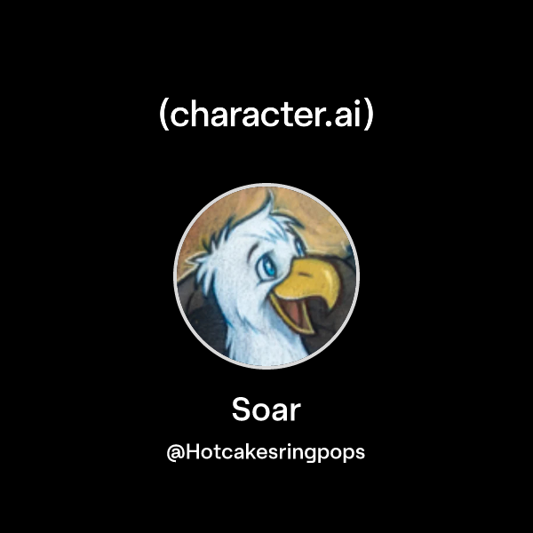Chat with Soar | character.ai | Personalized AI for every moment of ...