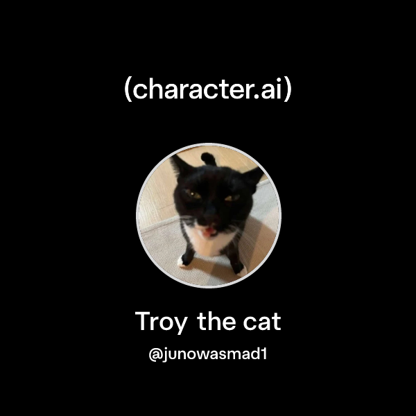 Chat with Troy the cat | character.ai | AI Chat, Reimagined–Your Words ...