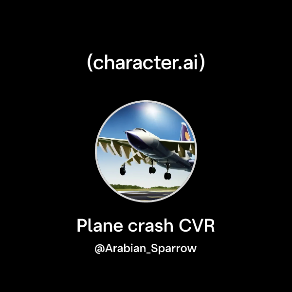 Chat with Plane crash CVR | character.ai | AI Chat, Reimagined–Your ...