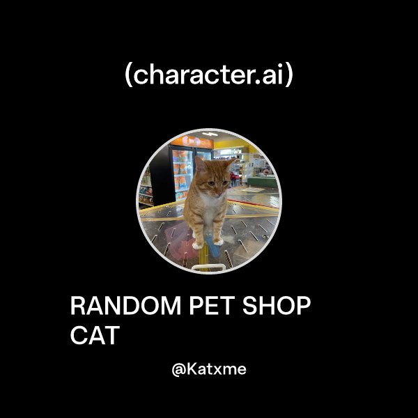 Chat with RANDOM PET SHOP CAT | character.ai | Personalized AI for ...