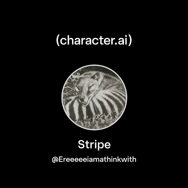 Chat with Stripe | character.ai | Personalized AI for every moment of ...
