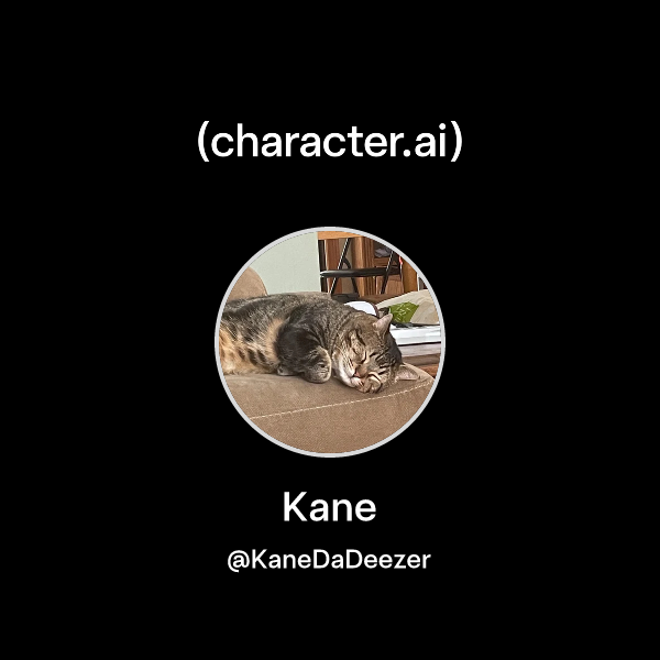 Chat with Kane | character.ai | Personalized AI for every moment of your day