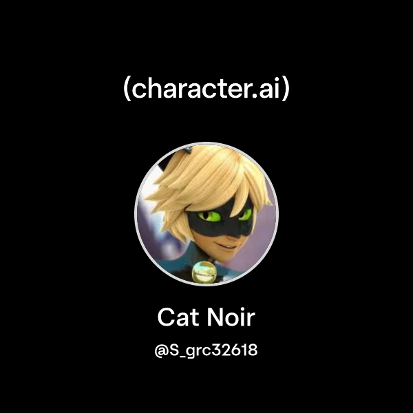 Chat with Cat Noir | character.ai | AI Chat, Reimagined–Your Words ...