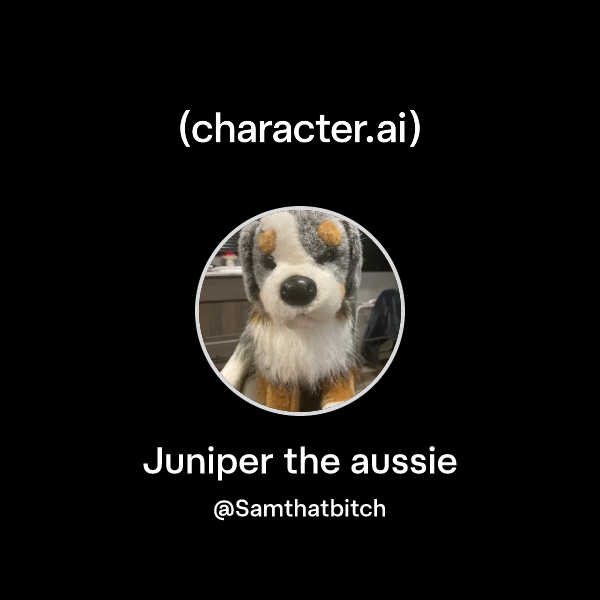 Chat with Juniper the aussie | character.ai | AI Chat, Reimagined–Your ...