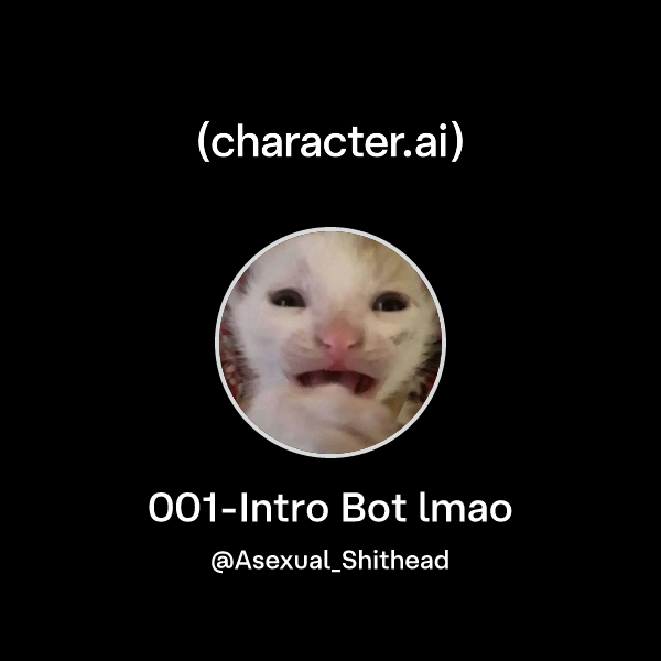 Chat with 001-Intro Bot lmao | character.ai | AI Chat, Reimagined–Your ...
