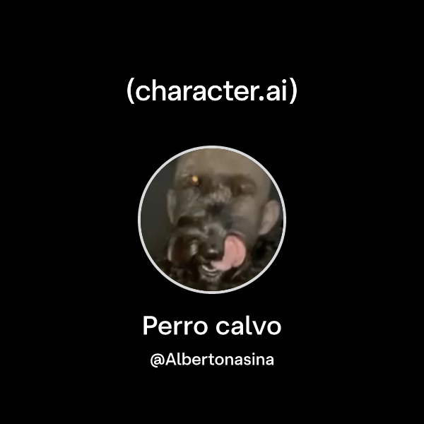 Chat with Perro calvo | character.ai | Personalized AI for every moment ...