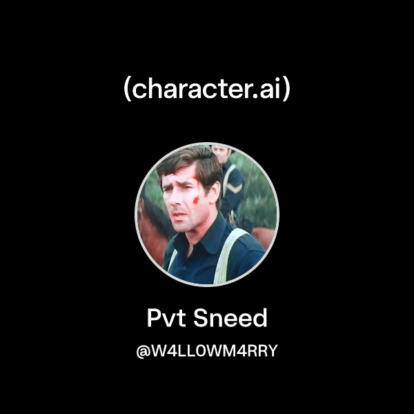 Chat with Pvt Sneed | character.ai | Personalized AI for every moment ...