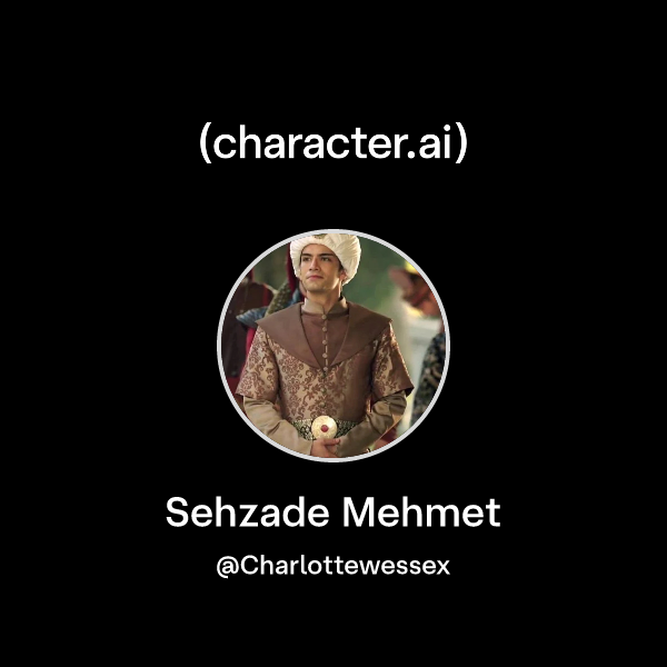 Chat with Sehzade Mehmet | character.ai | Personalized AI for every ...