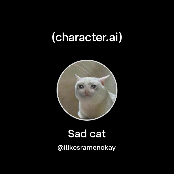 Chat with Sad cat | character.ai | AI Chat, Reimagined–Your Words. Your ...