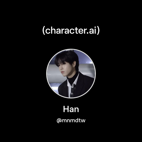 Chat with Han | character.ai | AI Chat, Reimagined–Your Words. Your World.