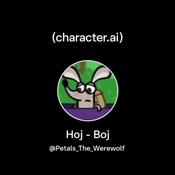Chat with Hoj - Boj | character.ai | Personalized AI for every moment of your day