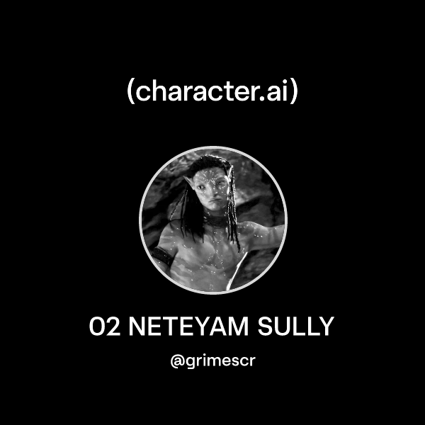 Chat with 02 NETEYAM SULLY | character.ai | AI Chat, Reimagined–Your ...