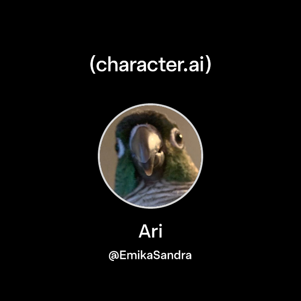 Chat with Ari | character.ai | Personalized AI for every moment of your day