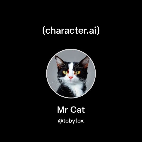 Chat with Mr Cat | character.ai | Personalized AI for every moment of ...