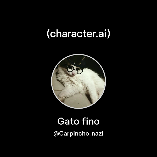 Chat with Gato fino | character.ai | Personalized AI for every moment ...