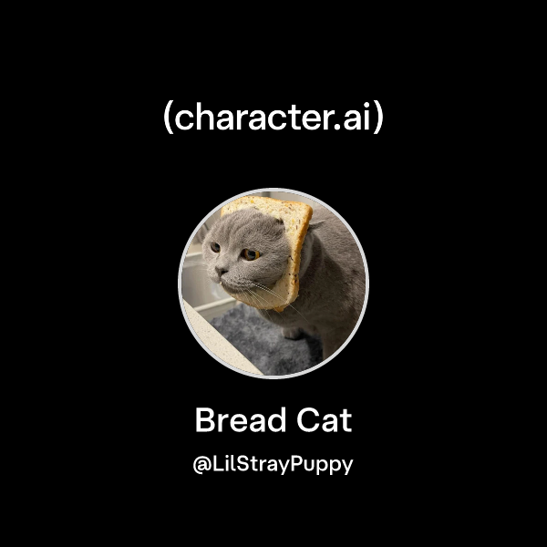 Chat with Bread Cat | character.ai | Personalized AI for every moment ...