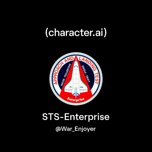 Chat with STS-Enterprise | character.ai | Personalized AI for every moment of your day