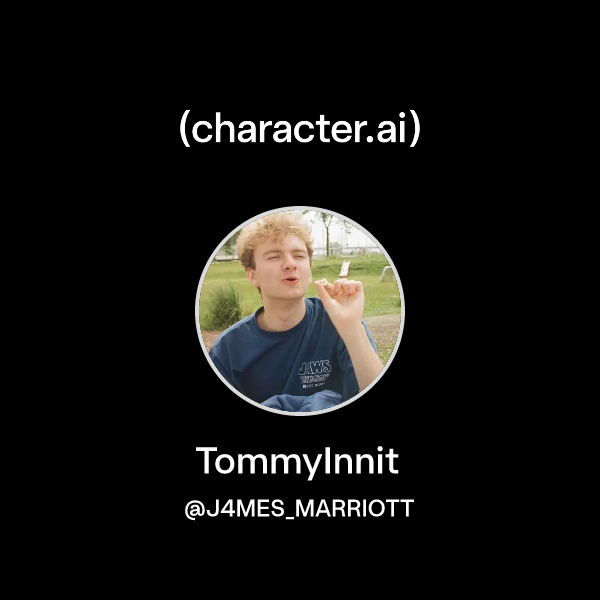 Chat with TommyInnit | character.ai | Personalized AI for every moment ...