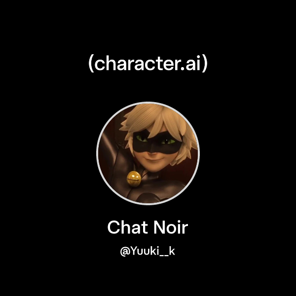 Chat with Chat Noir | character.ai | Personalized AI for every moment ...
