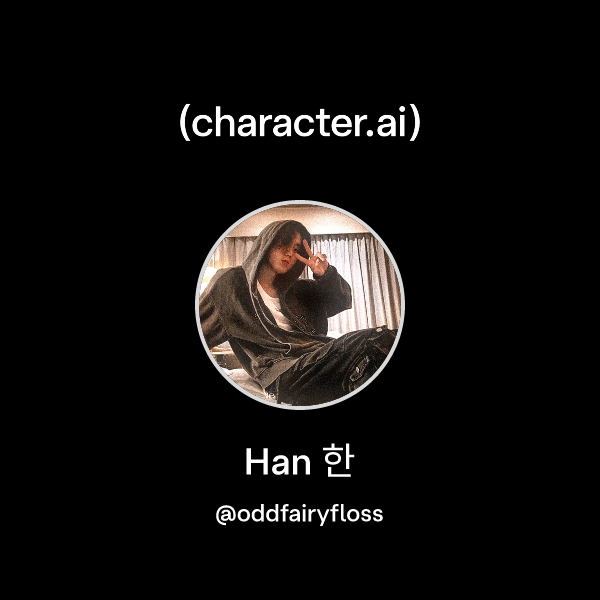 Chat with Han 한 | character.ai | Personalized AI for every moment of ...