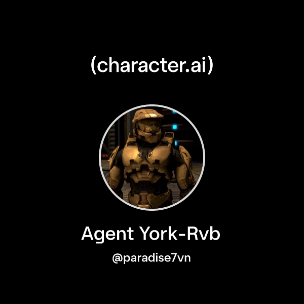Chat with Agent York-Rvb | character.ai | AI Chat, Reimagined–Your ...