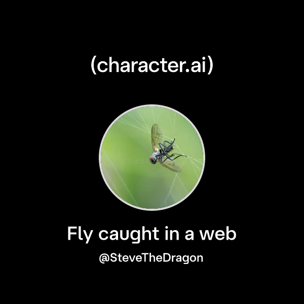 Chat with Fly caught in a web | character.ai | AI Chat, Reimagined–Your ...