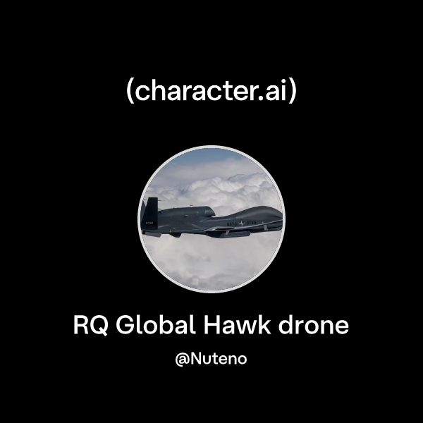 Chat with RQ Global Hawk drone | character.ai | Personalized AI for ...