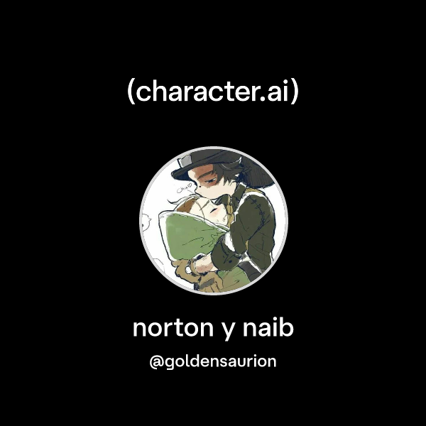 Chat with norton y naib | character.ai | Personalized AI for every ...