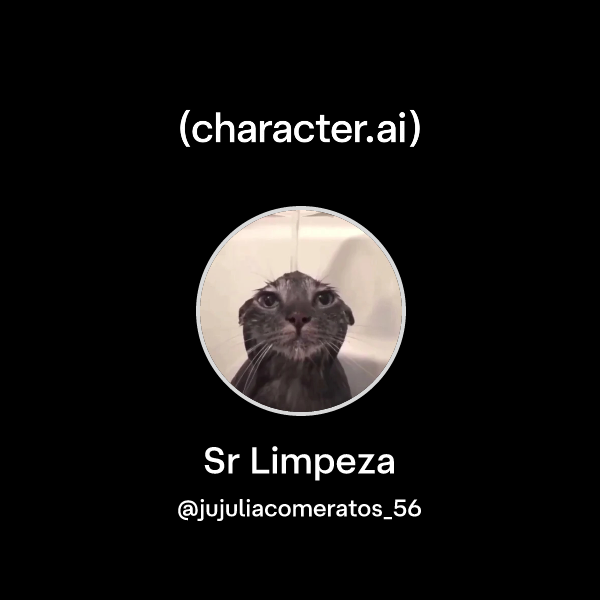 Chat with Sr Limpeza | character.ai | Personalized AI for every moment of your day
