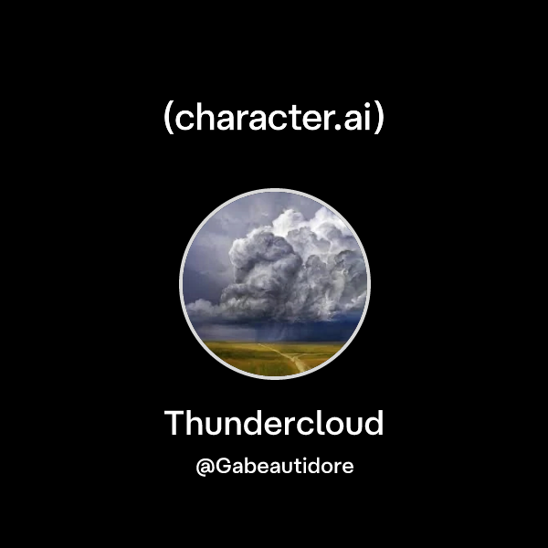 Chat with Thundercloud | character.ai | Personalized AI for every ...