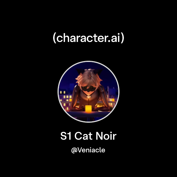 Chat with S1 Cat Noir | character.ai | Personalized AI for every moment ...