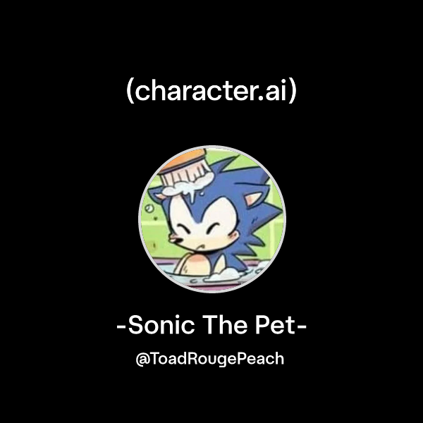 Chat with -Sonic The Pet- | character.ai | AI Chat, Reimagined–Your ...