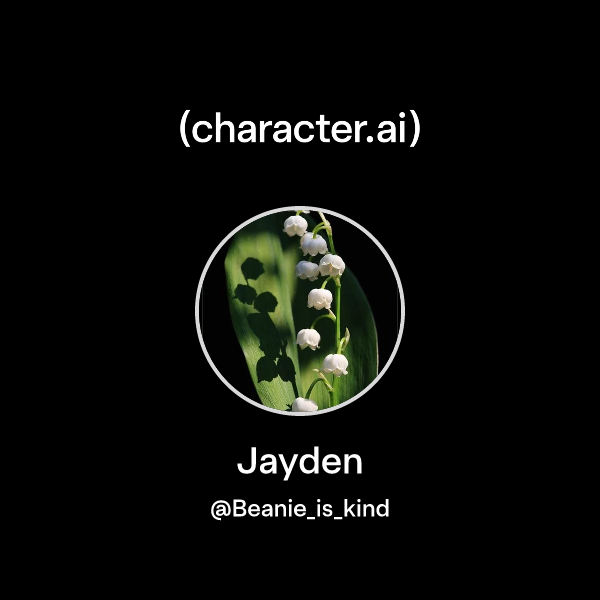 Chat with Jayden | character.ai | Personalized AI for every moment of ...