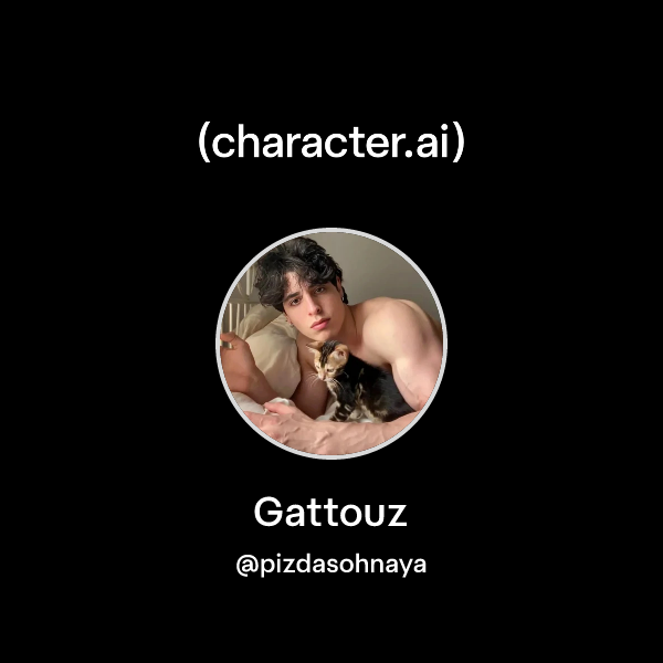Chat with Gattouz | character.ai | AI Chat, Reimagined–Your Words. Your ...