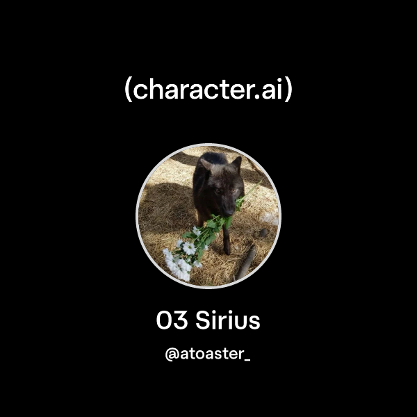 Chat with 03 Sirius | character.ai | AI Chat, Reimagined–Your Words. Your World.
