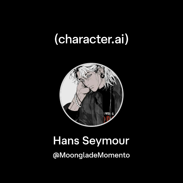 Chat with Hans Seymour | character.ai | Personalized AI for every ...