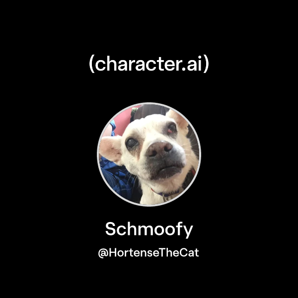 Chat with Schmoofy | character.ai | Personalized AI for every moment of ...
