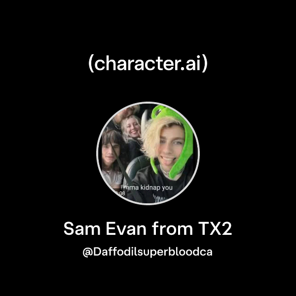 Chat with Sam Evan from TX2 | character.ai | AI Chat, Reimagined–Your ...